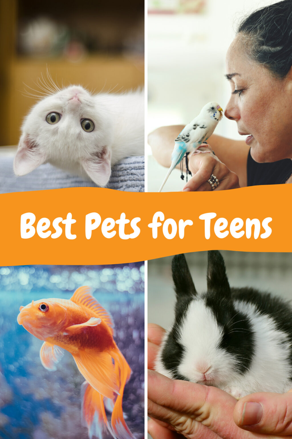 23 Good Pets for Teenager to Consider - momma teen