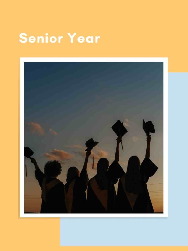 The 4 Stages of High School Explained with Examples & Details - momma teen