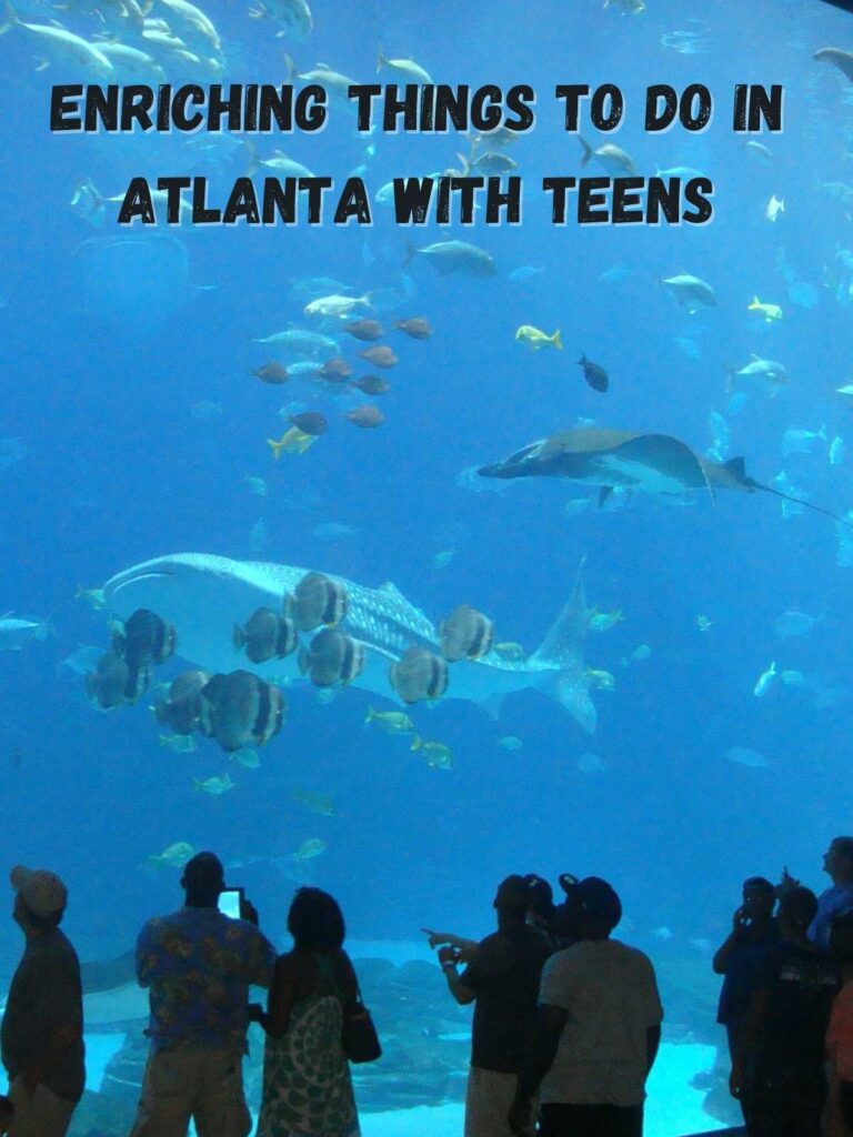 Things To Do in Atlanta for Teens For Fun Attractions - momma teen