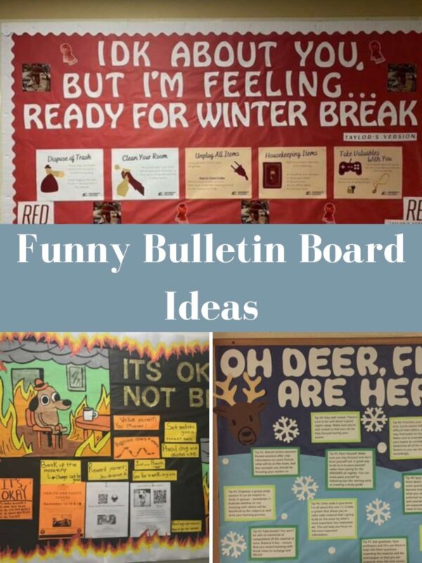 113+ Motivational Bulletin Board Ideas for High School - momma teen