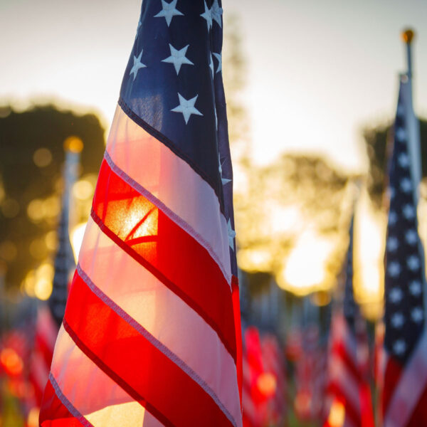 10 Veterans Day Assembly Ideas For Honoring Heroes - momma teen