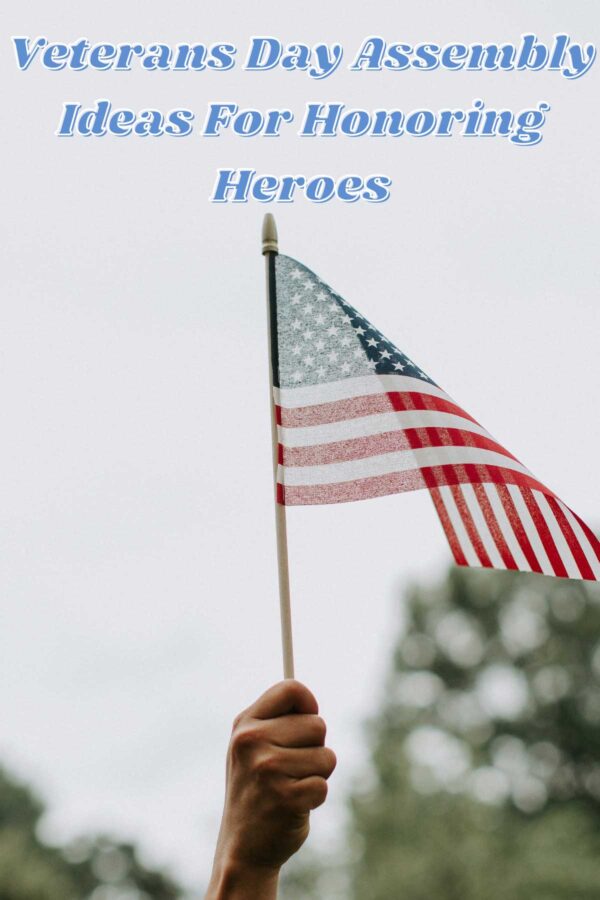 10 Veterans Day Assembly Ideas For Honoring Heroes - momma teen